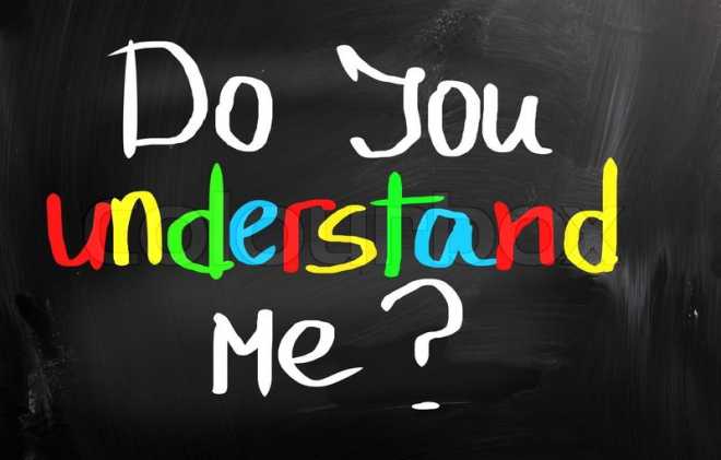 Meaning of do you understand me